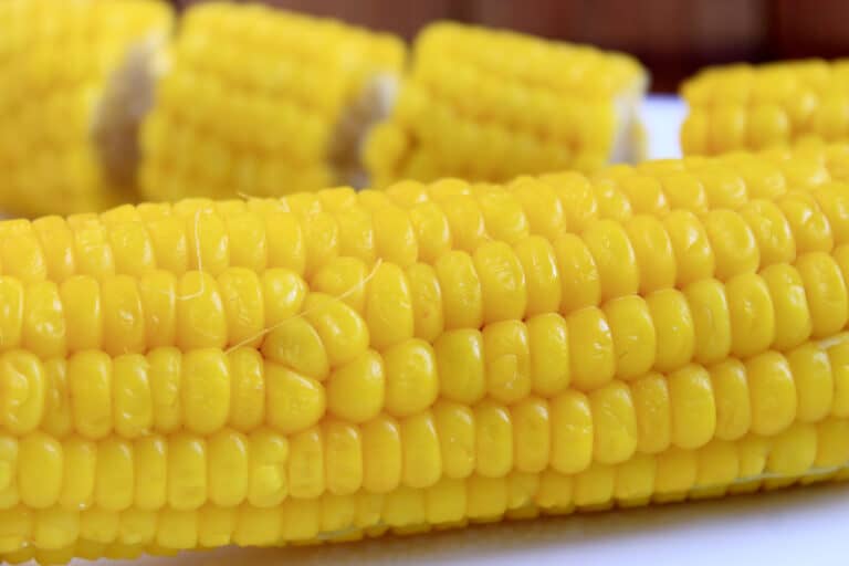 Can turtles eat corn? - Wild pets are the best